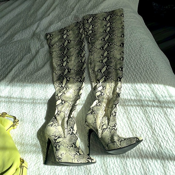 Steve Madden | Shoes | Steve Madden Snake Thigh High Booties | Poshmark